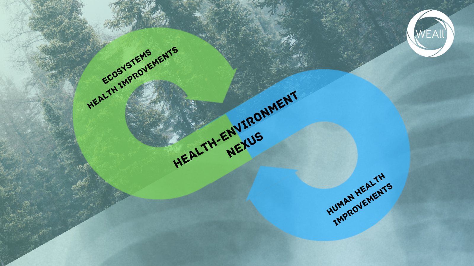 Five Pathways Towards Health-Environment Policy in a Wellbeing Economy ...